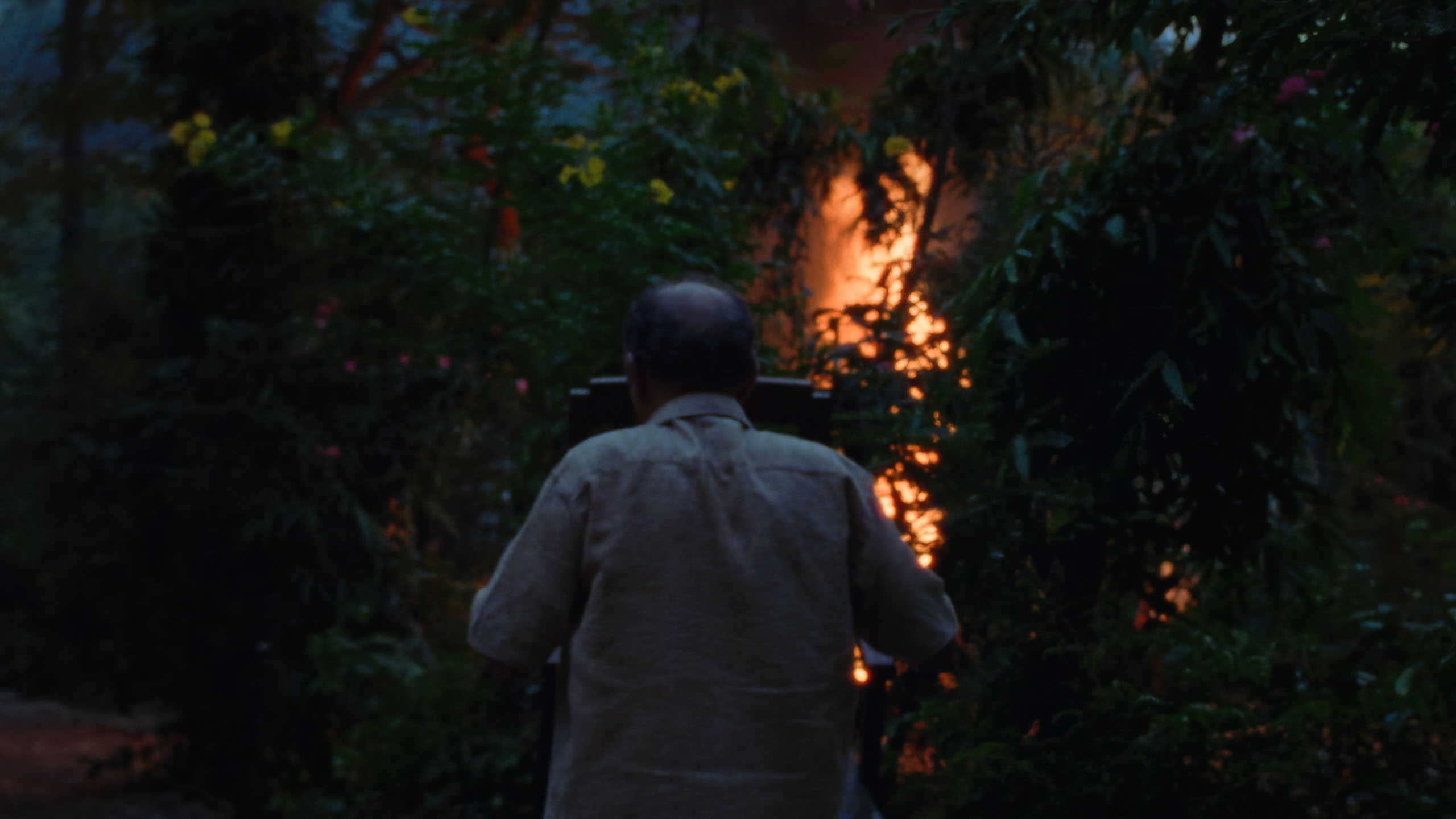 White Ant | Sundance Film Festival